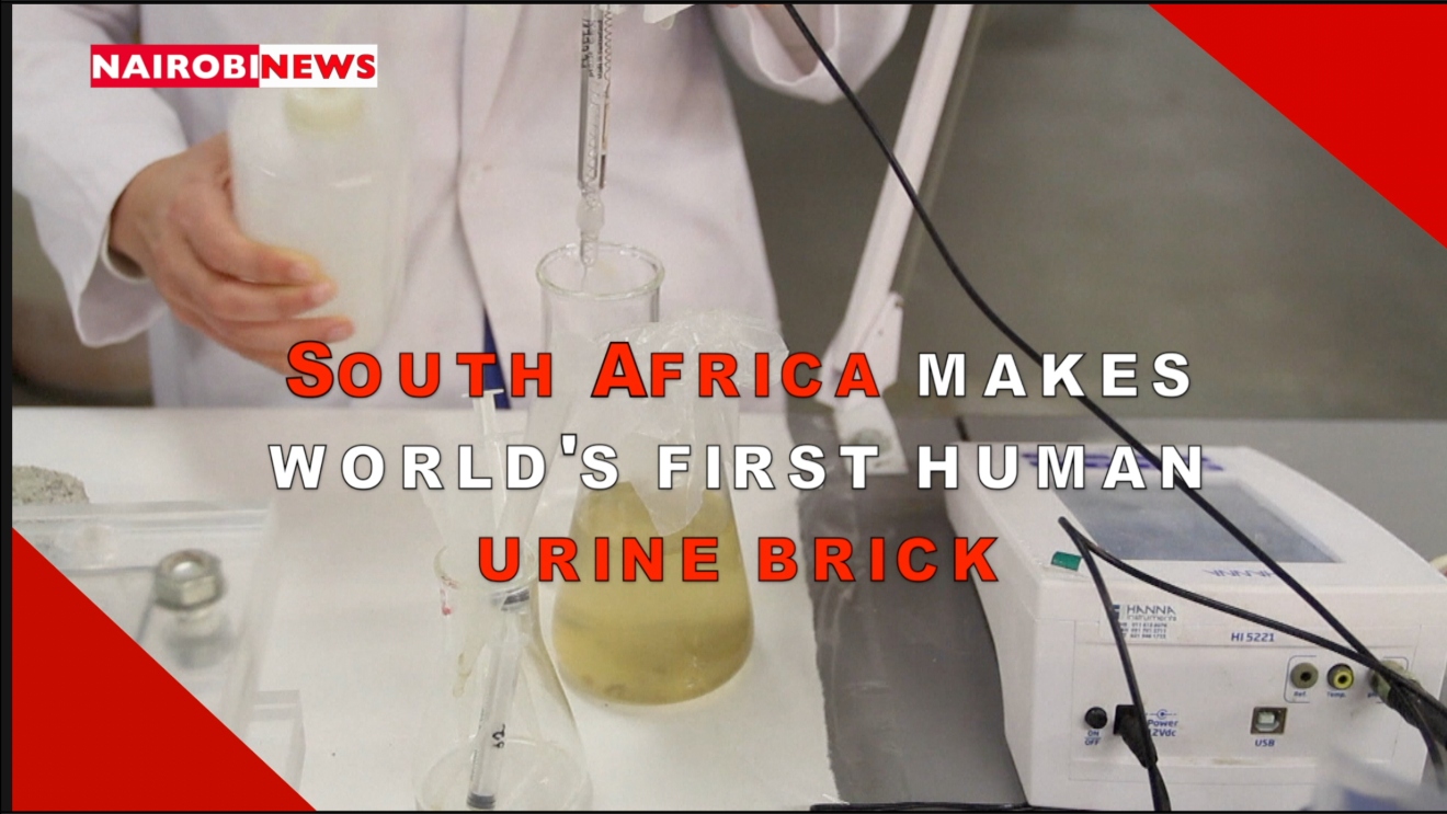 South Africa makes world’s first human urine brick – Nairobi News
