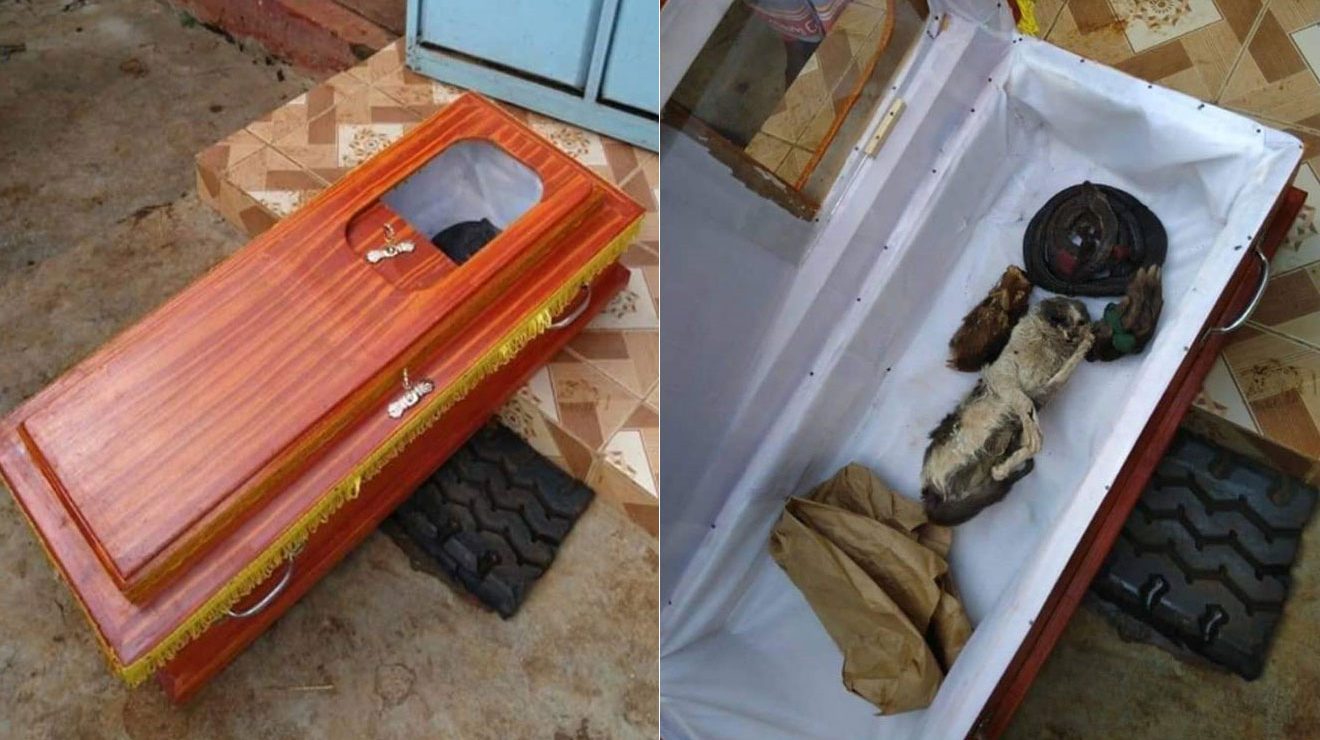 Man wakes up to find coffin with dead snake on his doorstep – Nairobi News