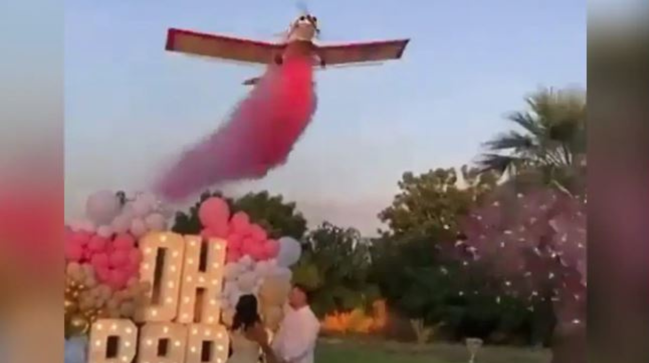 Gender reveal celebration takes a tragic turn as pilot dies in plane ...