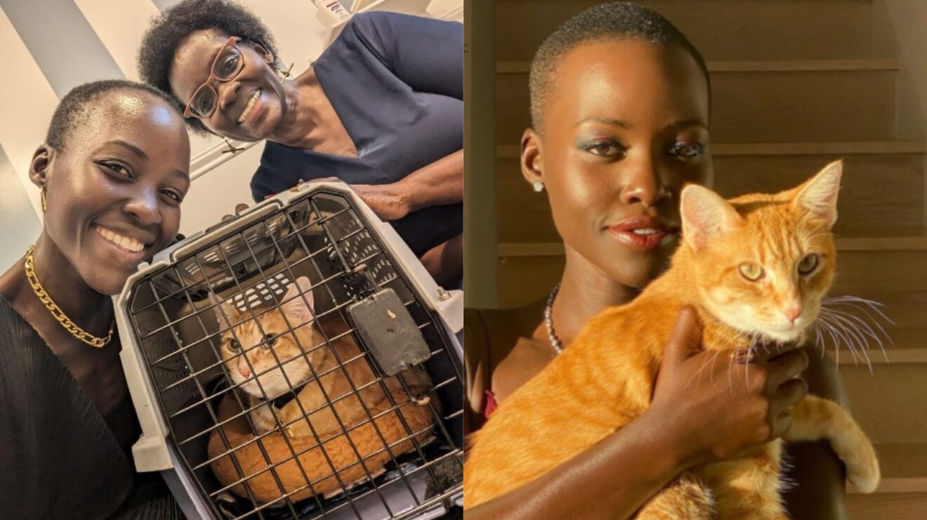 Lupita Ny’ong’o turns to cat ‘Yoyo’ after heartbreak – Nairobi News